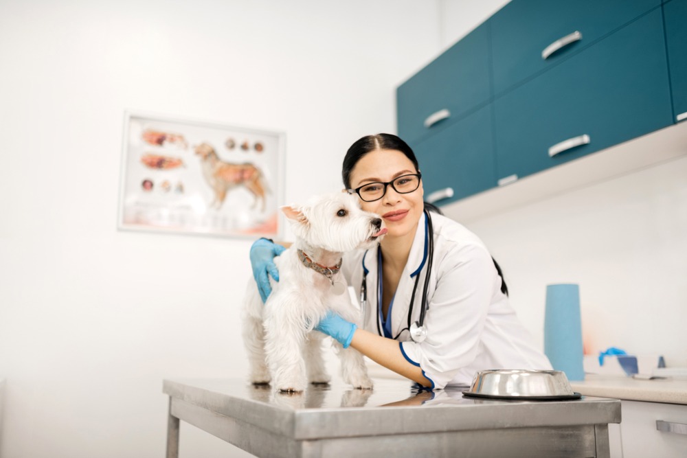 Benefits of Spaying or Neutering Your Dog! | Ask The Vet ATL.